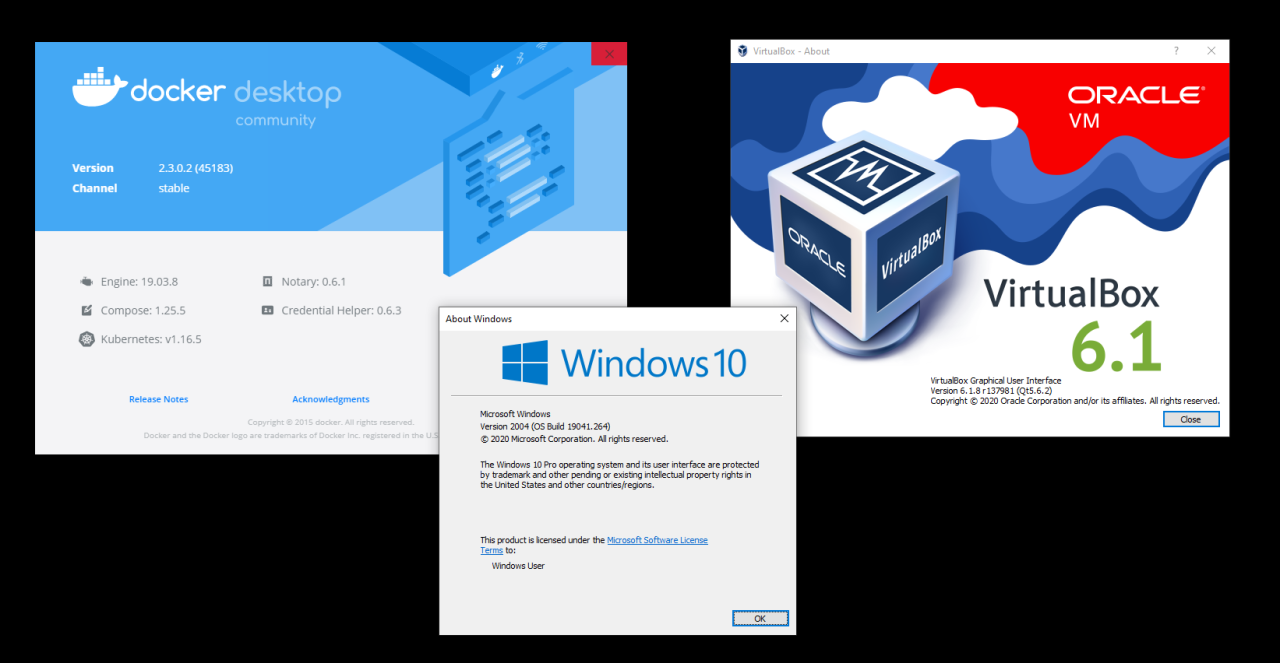 Ambiente Docker virtualizado, para el desarrollo y la ejecución de contenedores.